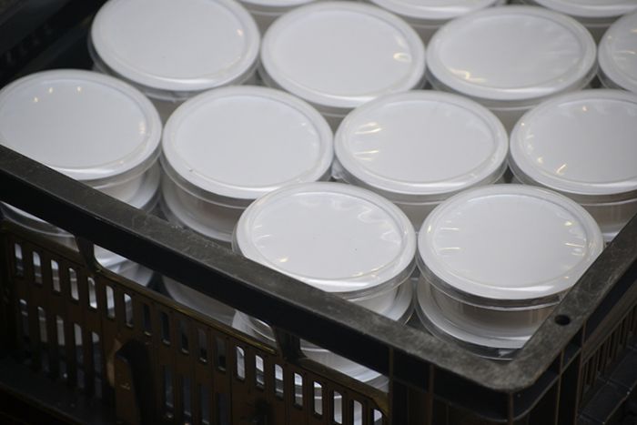 Production process cream cheese Lekkerkerker Food - Lekkerkerker Food